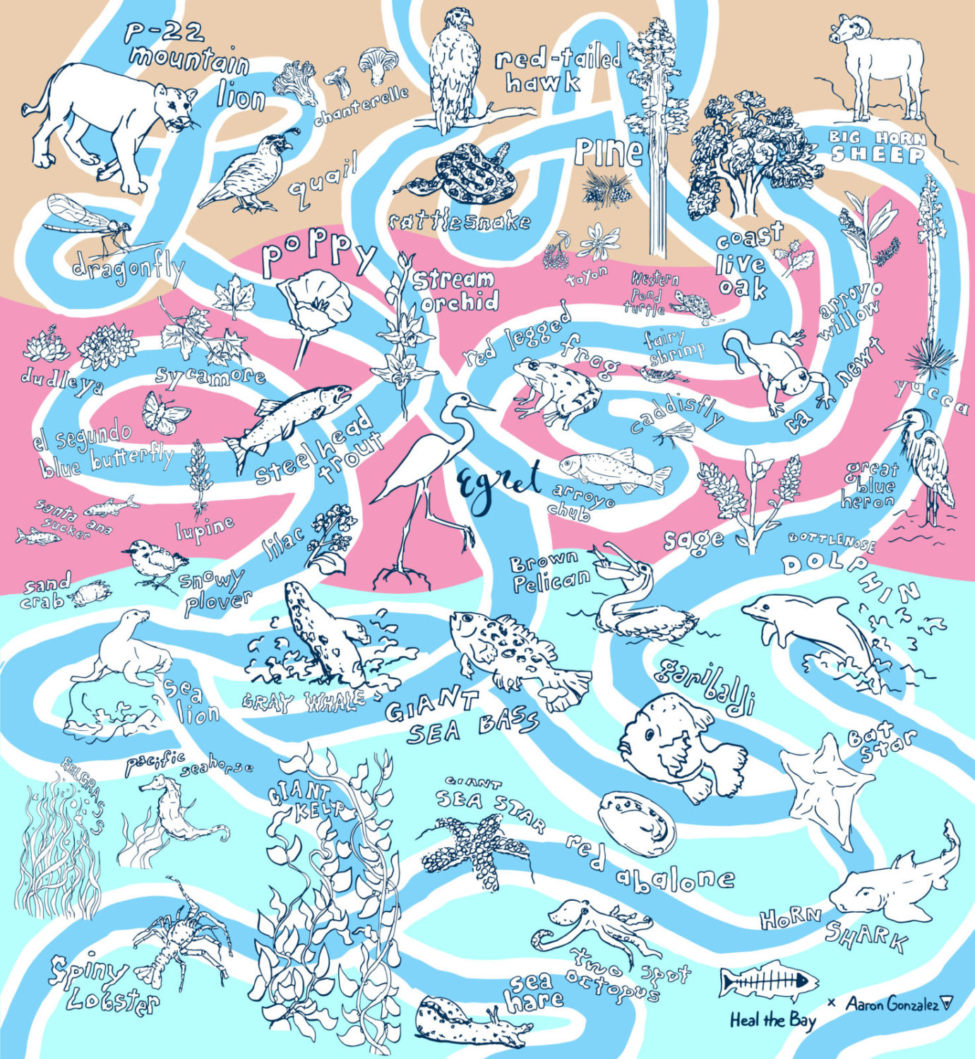 Meet the Coastal Cleanup Day Poster Artist: Aaron Gonzalez - Heal the Bay