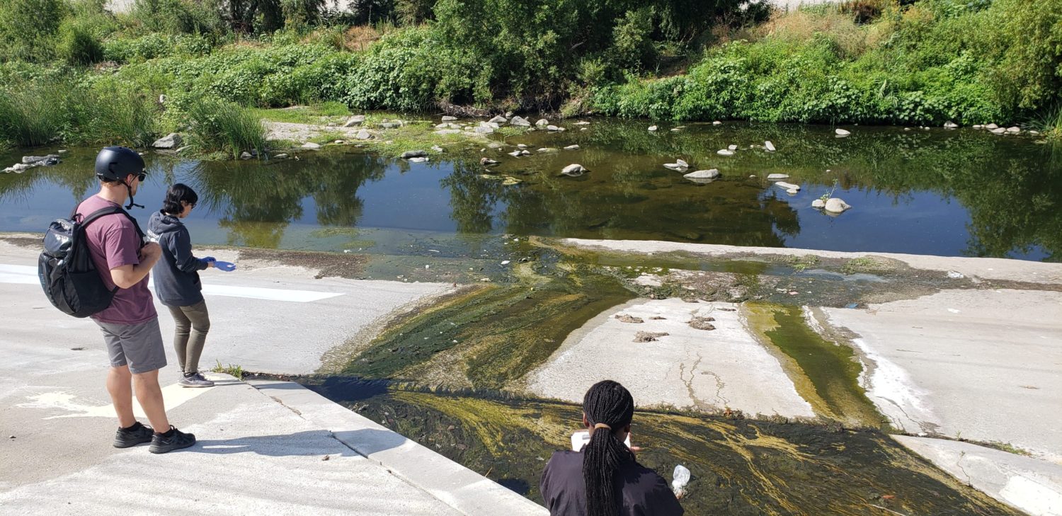 A Summer of Freshwater Sampling in LA - Heal the Bay