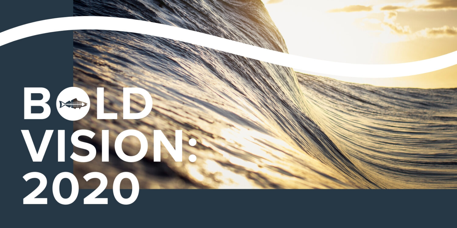 Bold Vision: Our 2020 Goals - Heal the Bay