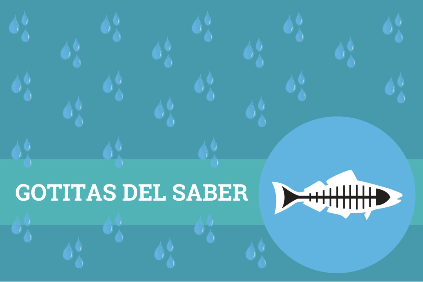 Gotitas Del Saber – Online Educational Series en Español - Heal the Bay