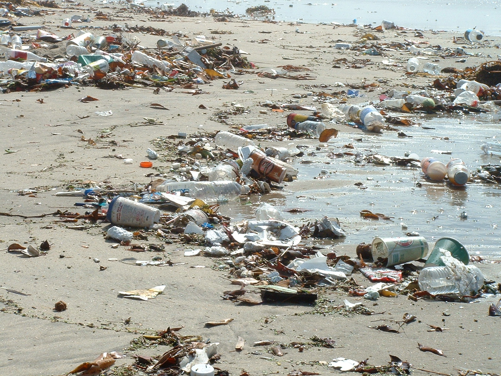 Call your Representatives to Fight Big Plastic - Heal the Bay