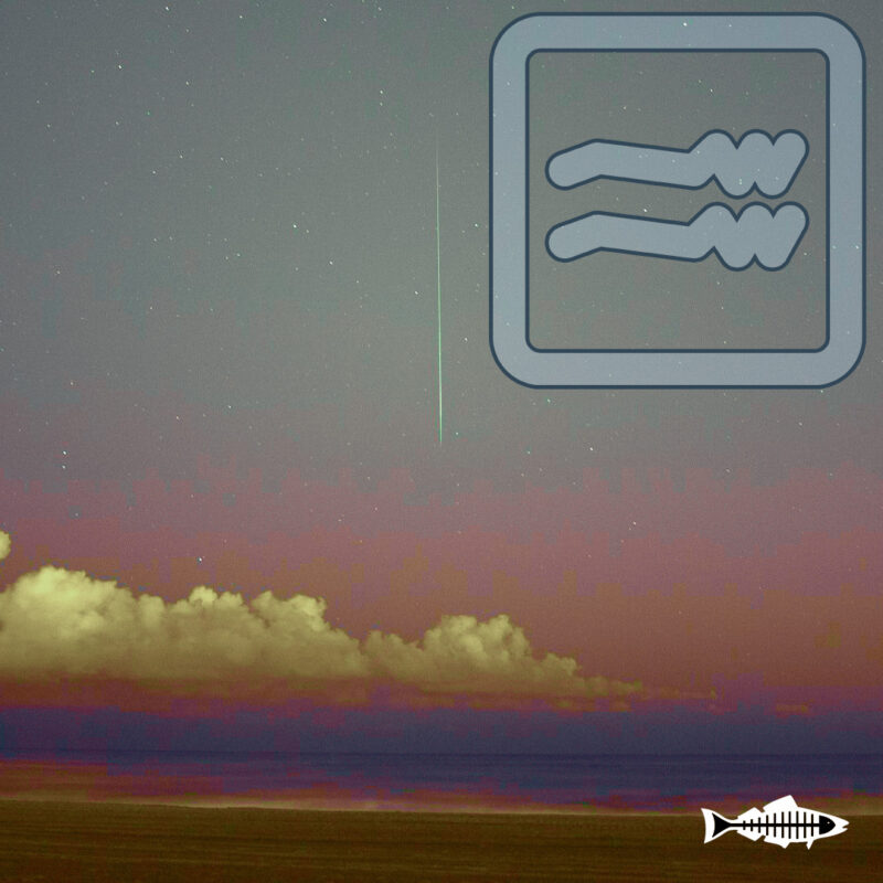 The Best Los Angeles Beach for Your Zodiac Sign - Heal the Bay