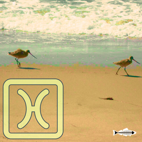 The Best Los Angeles Beach for Your Zodiac Sign - Heal the Bay