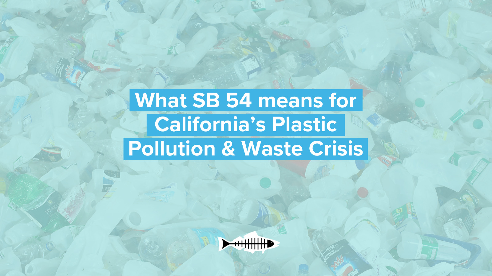 What the Passage of SB 54 means for California’s Plastic Pollution ...