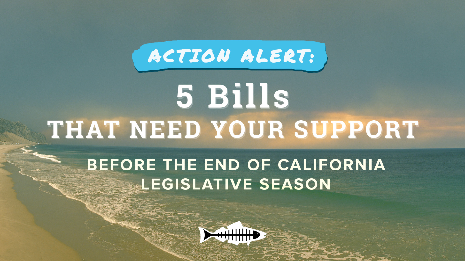 5 Bills that Need Your Support Before the End of California Legislative ...