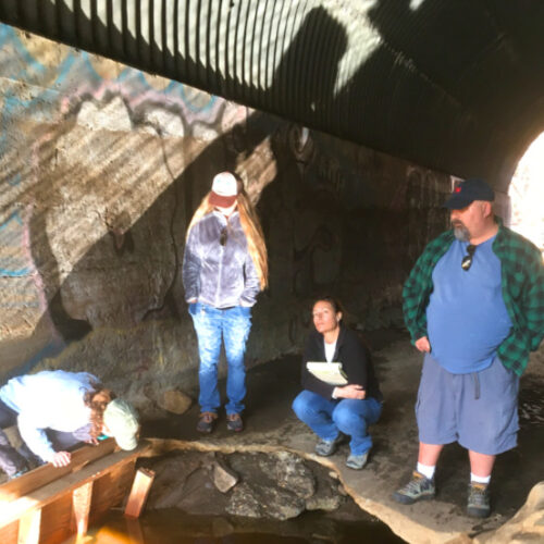 Remembering the Life of Mark Abramson - Heal the Bay