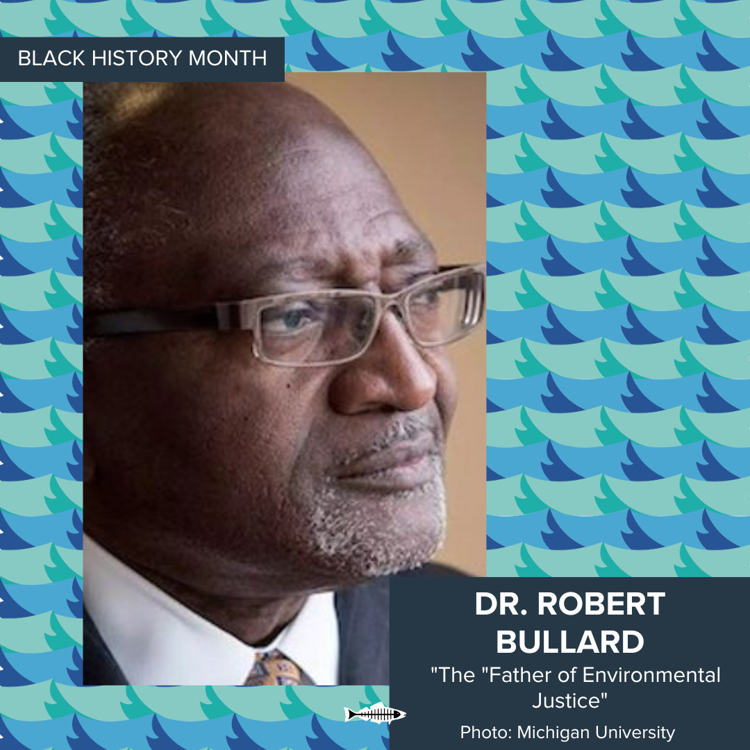 Black History is Environmental History - Heal the Bay