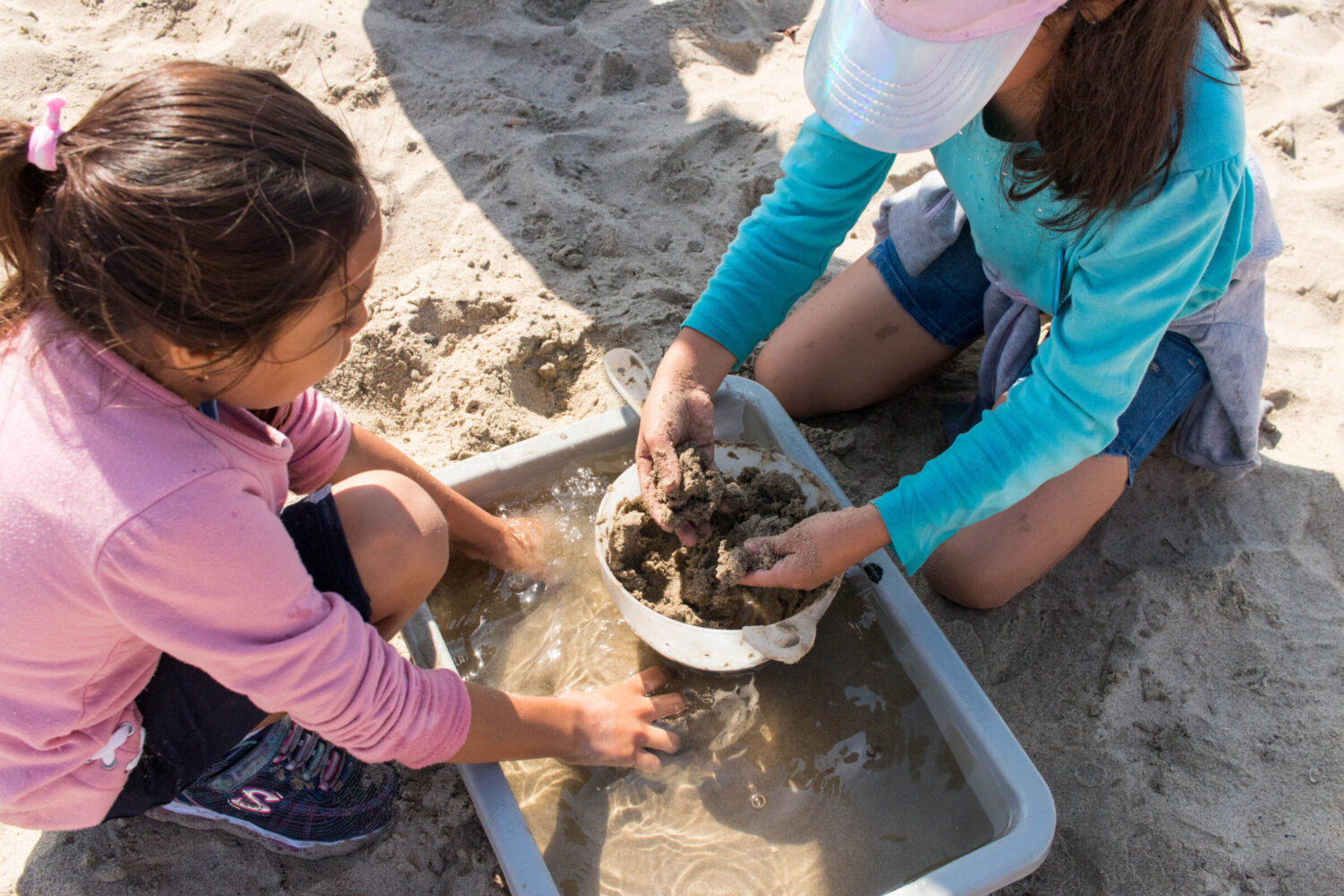 Book An Aquarium Field Trip - Heal the Bay