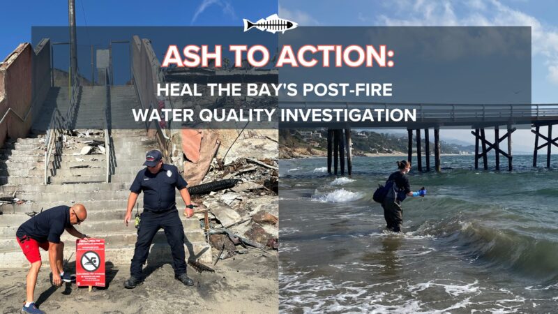 Beach Report Card - Heal the Bay