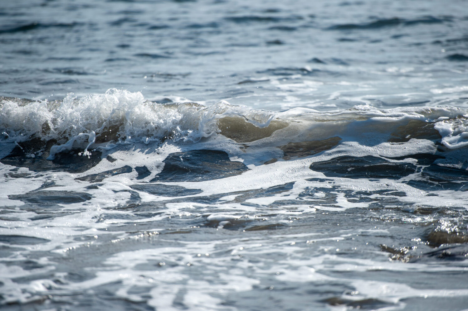 Ash to Action: Heal the Bay’s Post-Fire Water Quality Investigation ...
