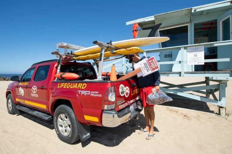 California Domoic Acid Crisis: Causes, Impact, and What’s Next - Heal ...