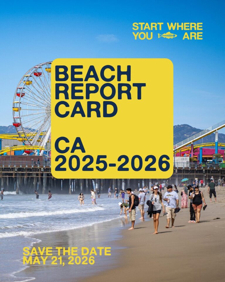 Beach Report Card - Heal the Bay
