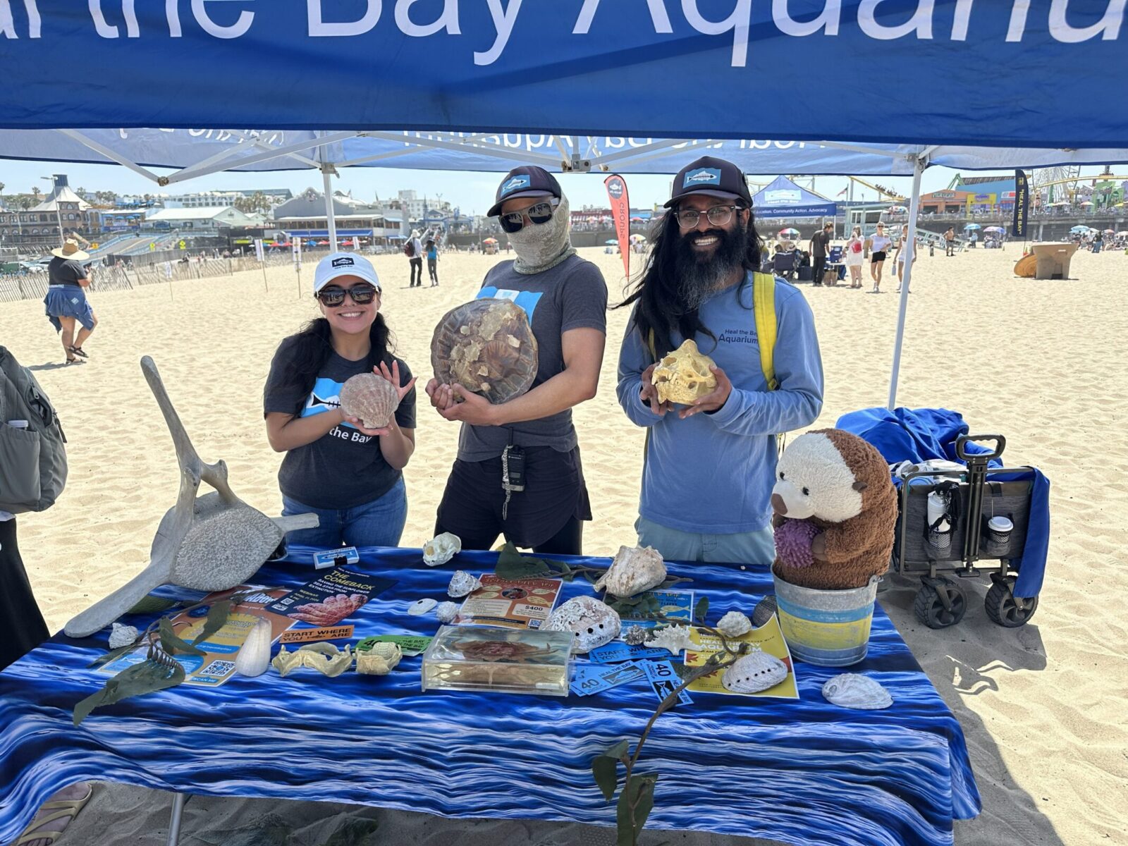 Beach Report Card - Heal the Bay